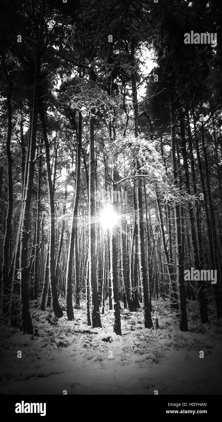 People in winter forest Black and White Stock Photos & Images - Alamy