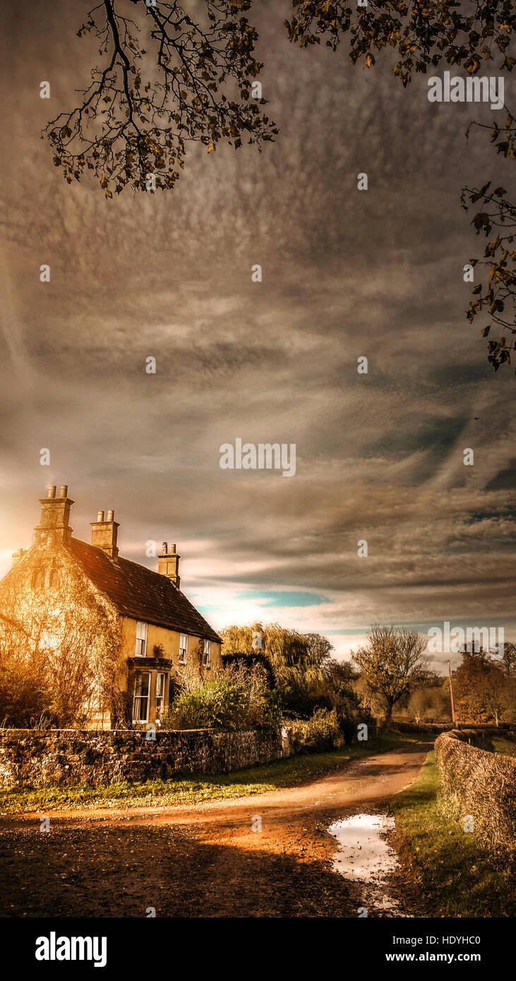 old house in nature Stock Photo - Alamy