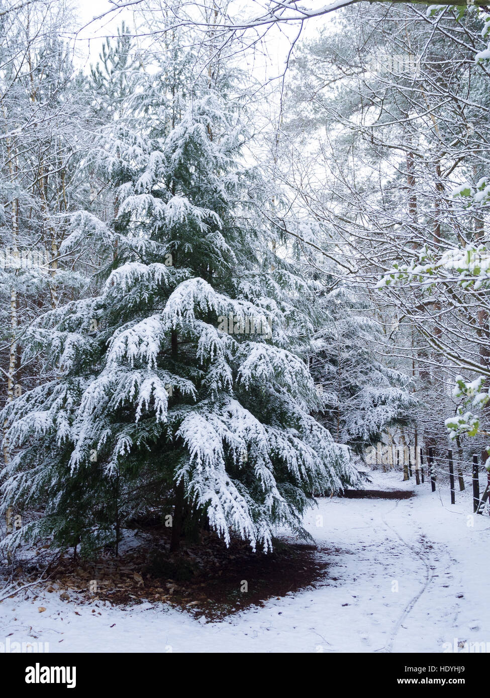 English wintery country scene Stock Photo - Alamy