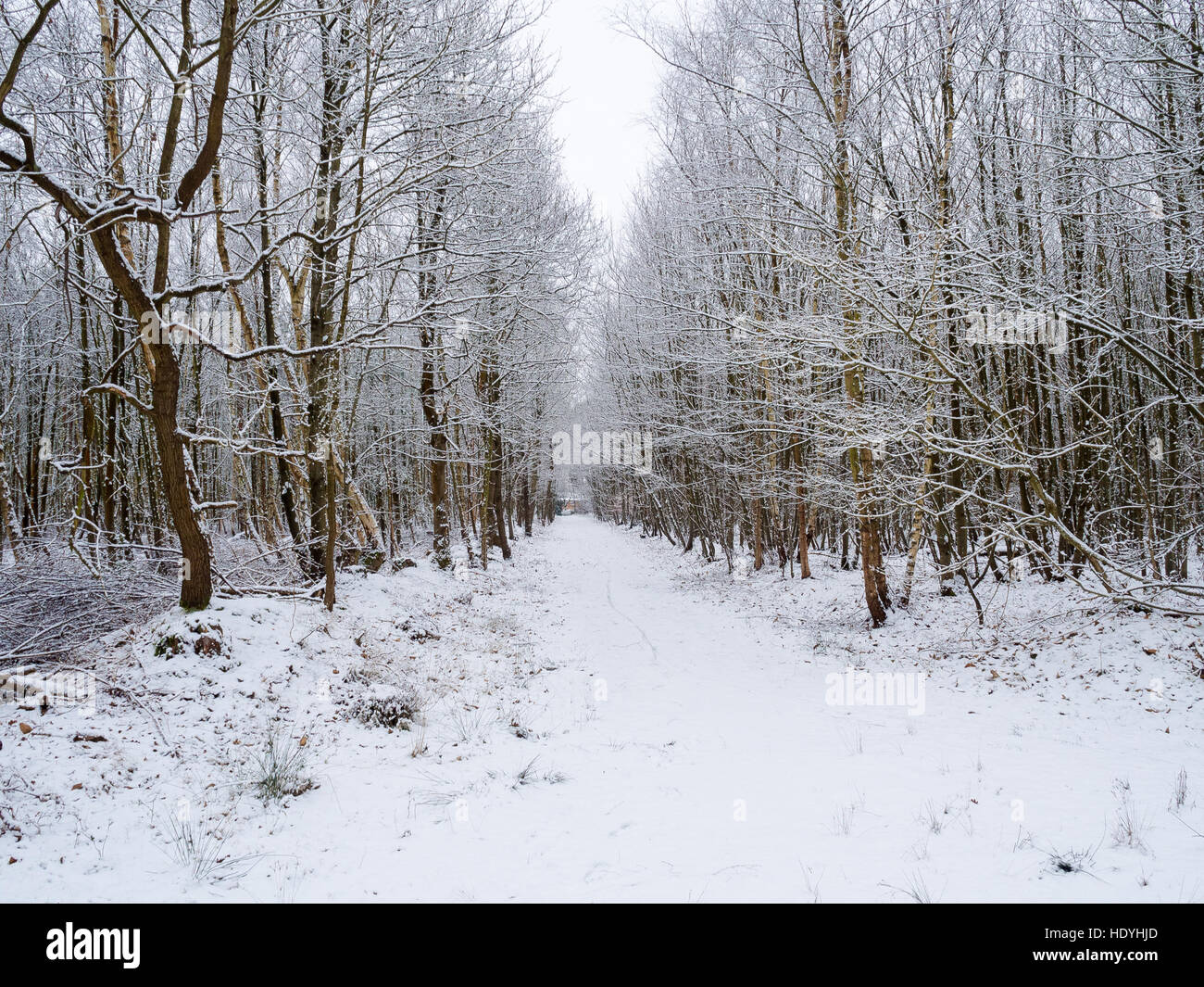 English wintery country scene Stock Photo - Alamy