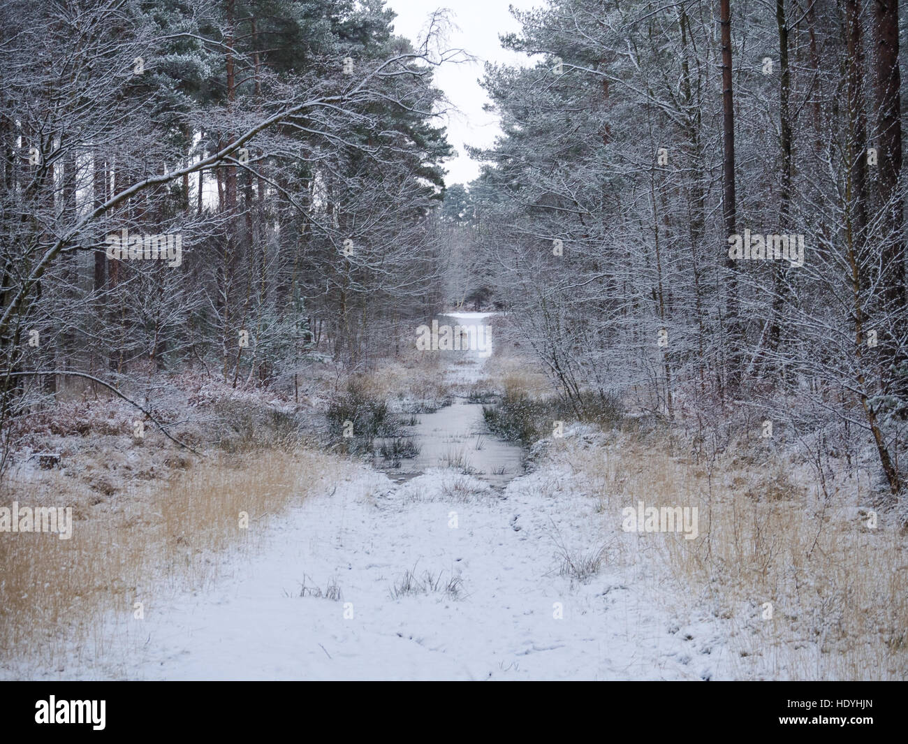 English country snow scene hi-res stock photography and images - Alamy