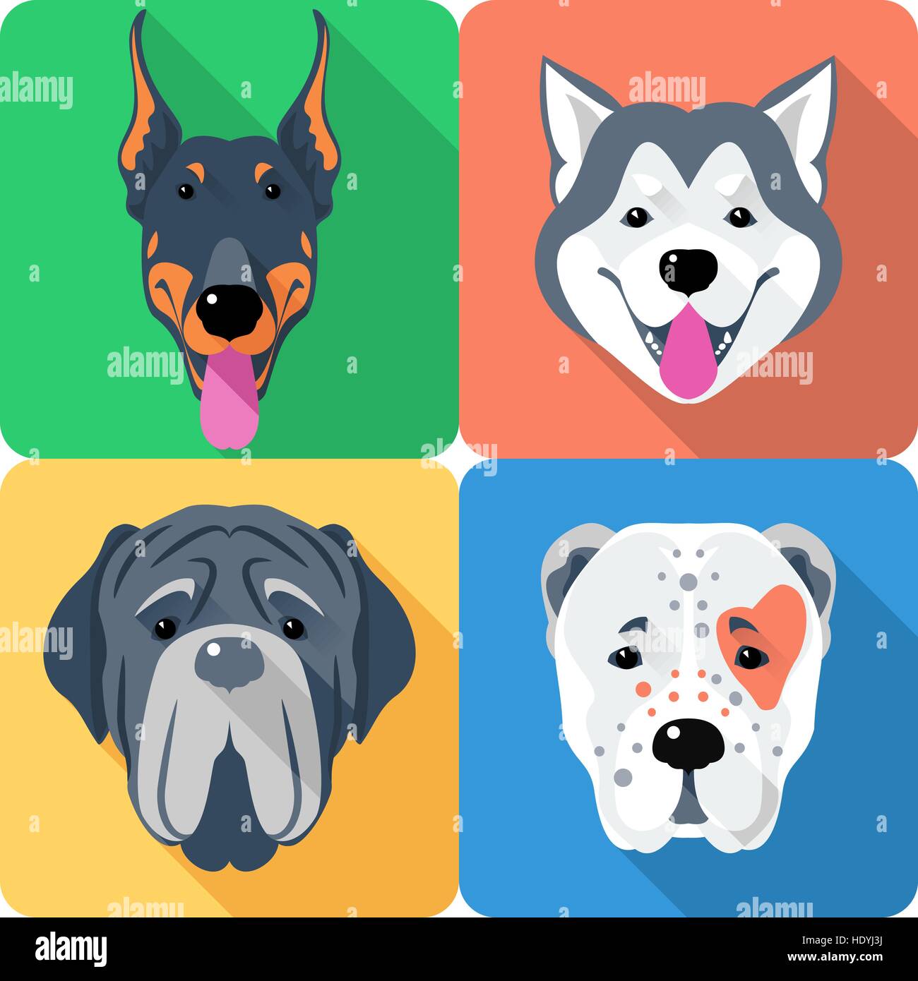 Mastino napoletano puppy Stock Vector Images - Alamy