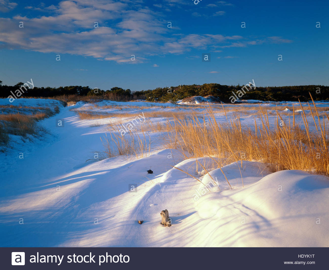 Popham Beach State Park High Resolution Stock Photography and Images ...