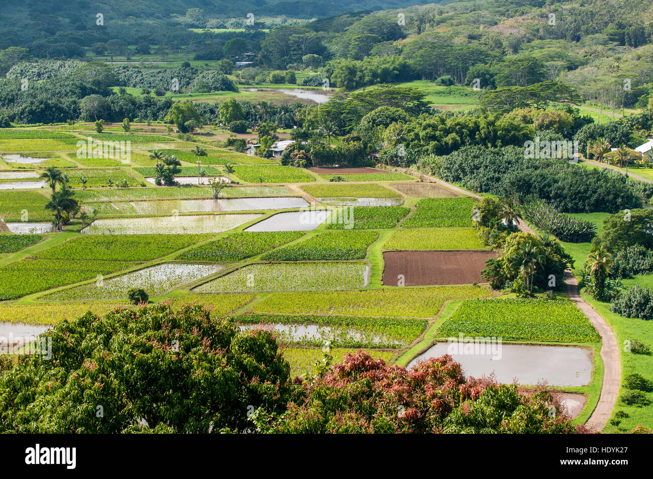 Hanalei valley river in hi-res stock photography and images - Alamy