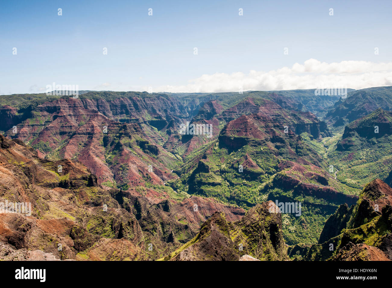 Waimea Canyon State Park, Kauai, Hawaii Stock Photo - Alamy