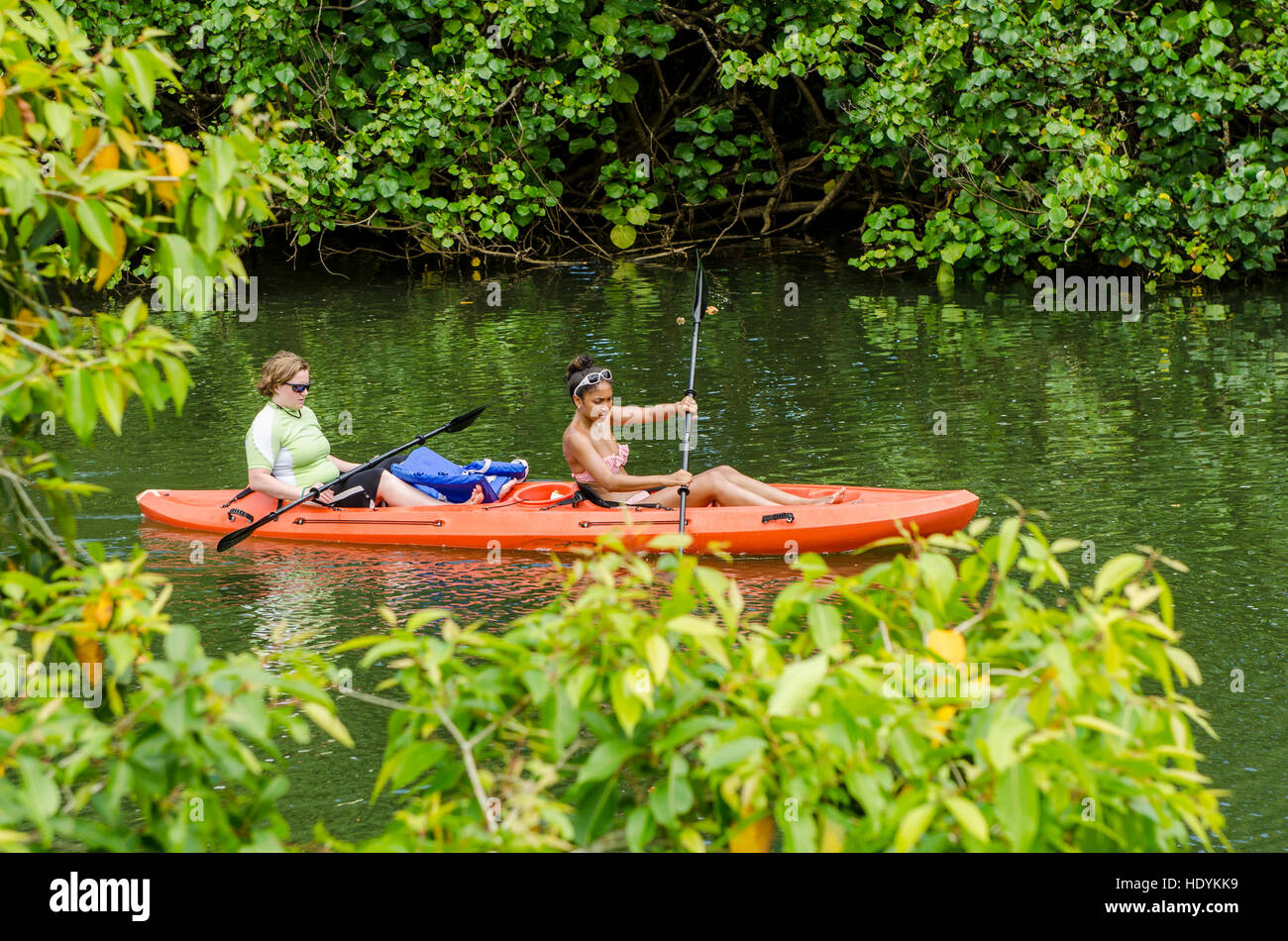 Polynesian girls hi-res stock photography and images - Alamy