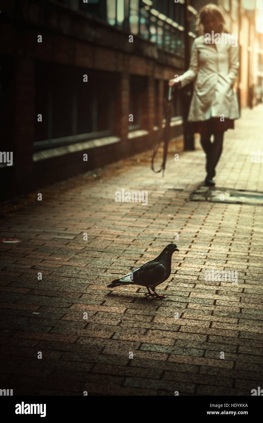 Umbrella on street hi-res stock photography and images - Alamy