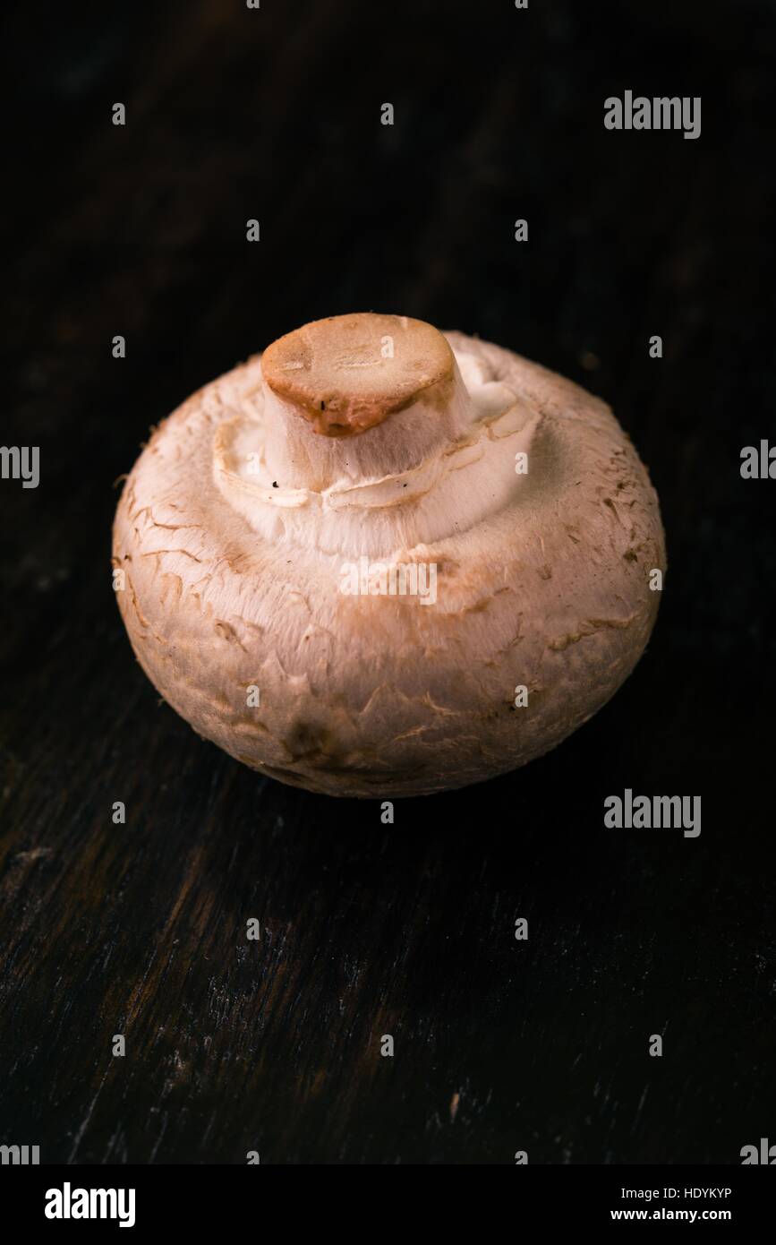 Vertical photo with detail of single harvested champignon. Mushroom is ...