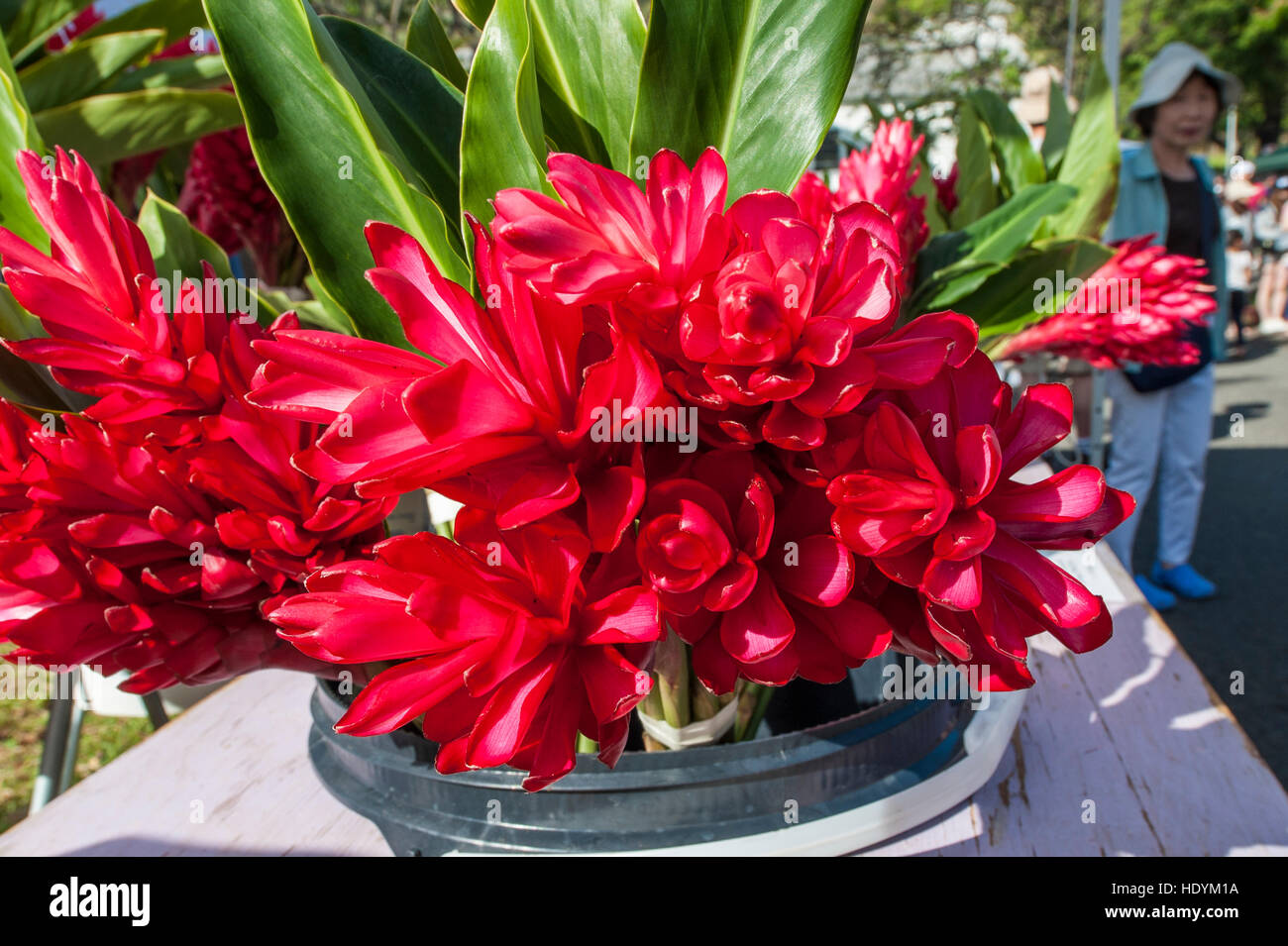 Saturday farmer's market Honolulu, Oahu, Hawaii Stock Photo - Alamy
