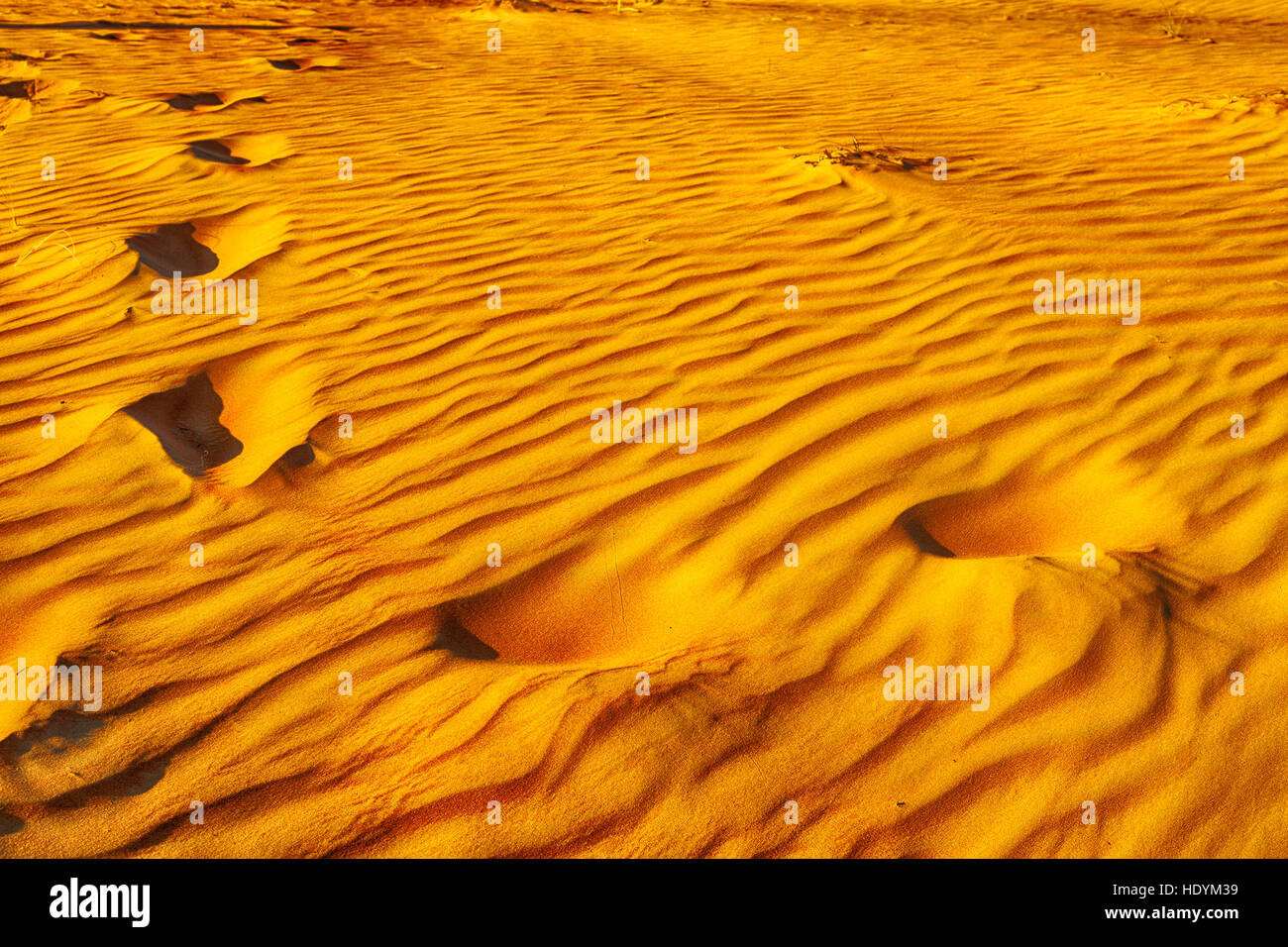 abstract texture line wave in oman the old desert and the empty quarter ...