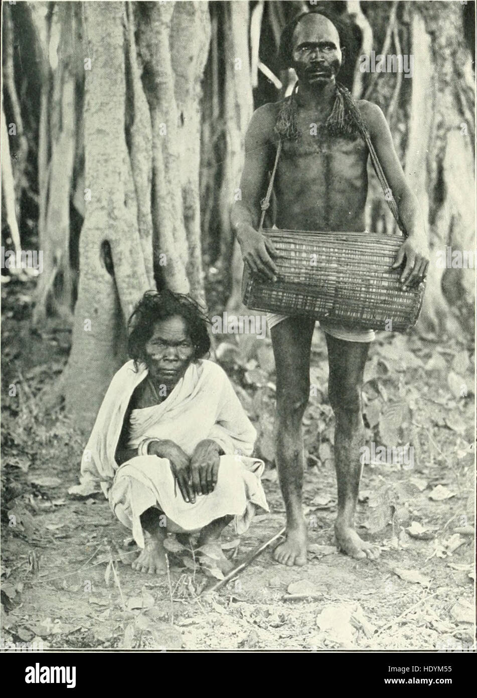 *Natives of Northern India* (1907) provides an ethnographic study of ...