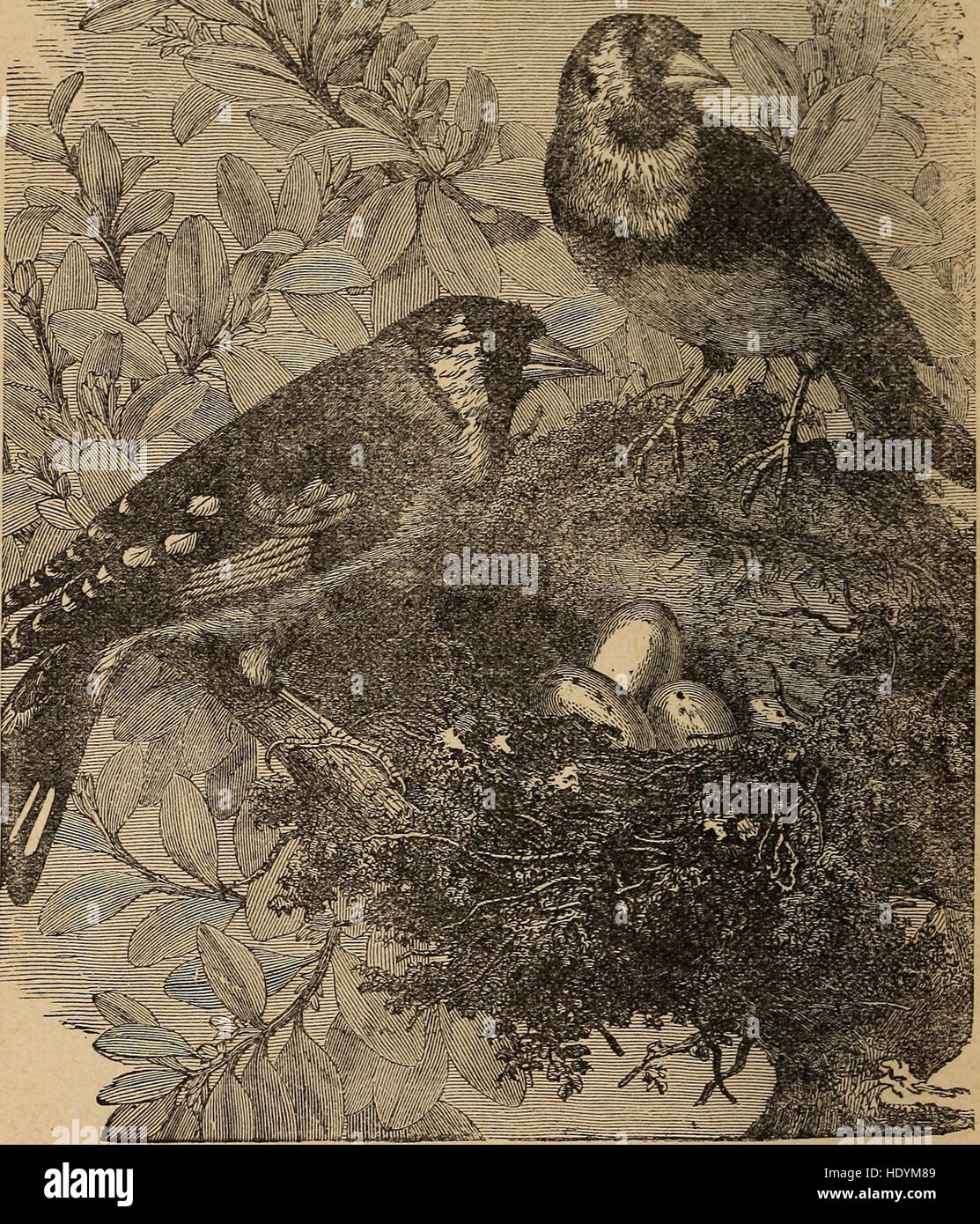 A self-help book from 1901 offering practical advice on achieving ...