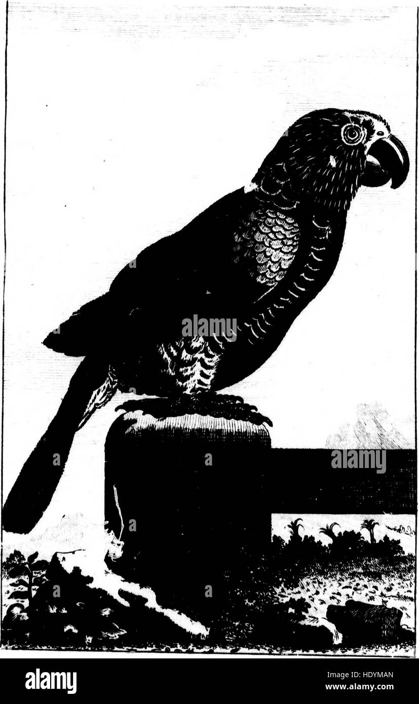 The natural history of birds (microform) - from the French of the Count ...