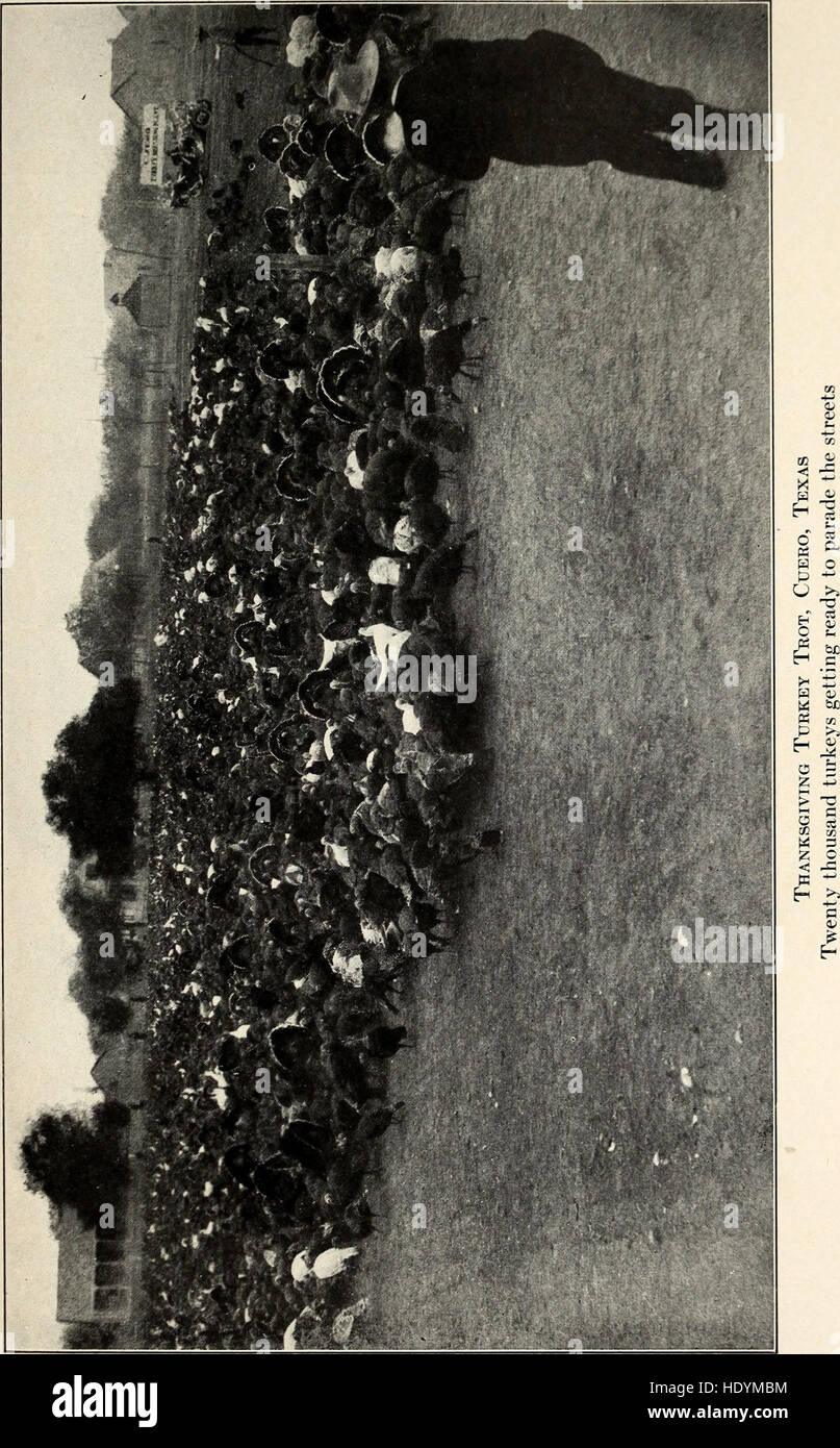 'Book of Texas' (1916) is a historical and cultural exploration of the ...