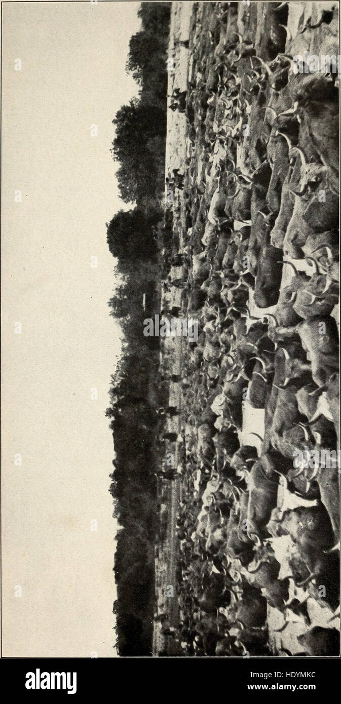 The Book of Texas, published in 1916, offers a comprehensive overview ...