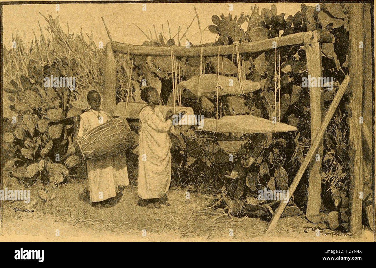 *The Story of Africa and Its Explorers* (1892) recounts the exploration ...