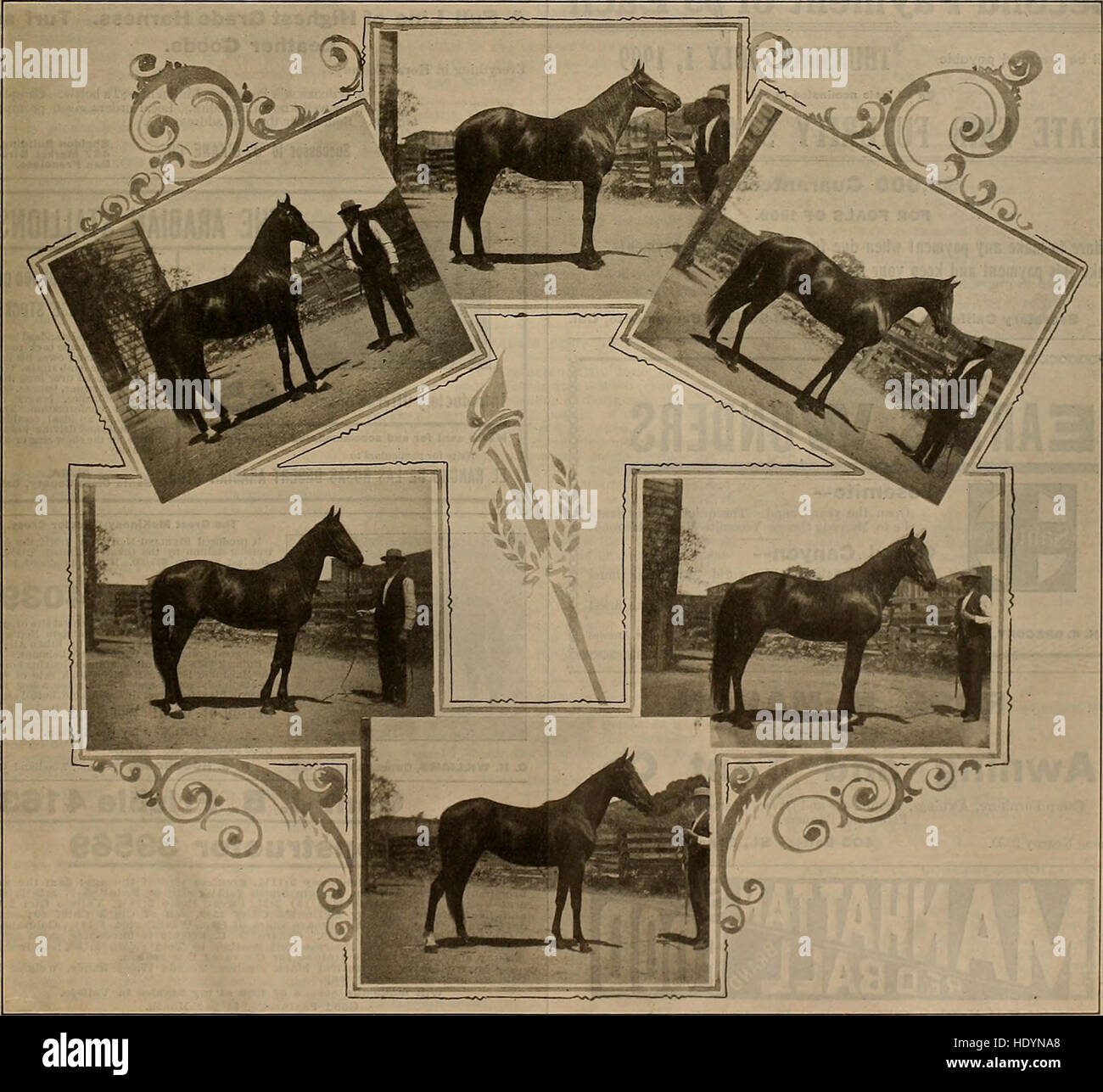 'Breeder and Sportsman' (1909) focuses on the art and science of animal ...