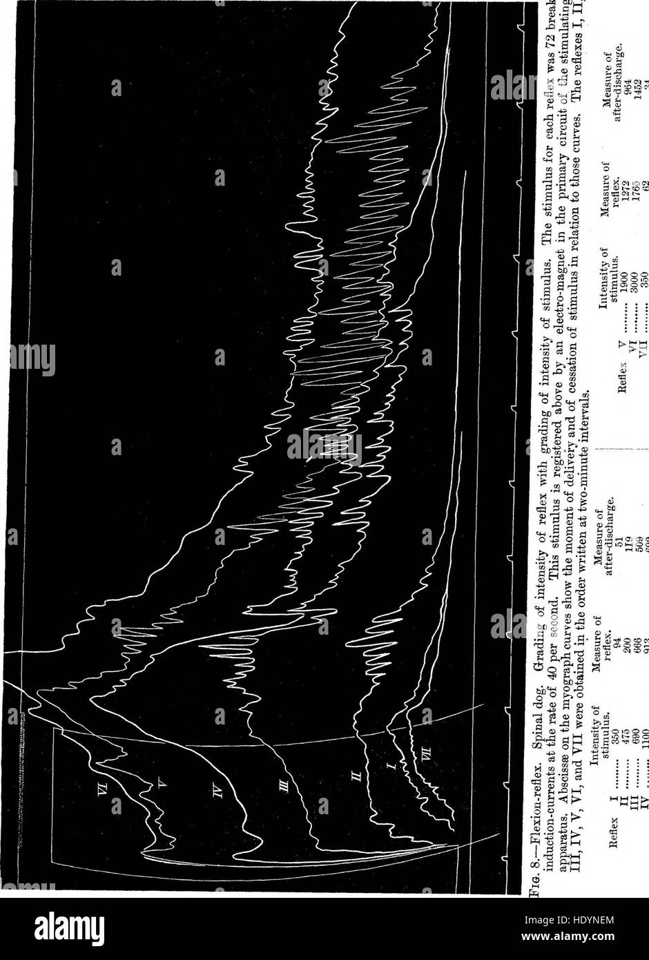 On Innervation of Antagonistic Muscles. Ninth Note.-Successive Spinal ...