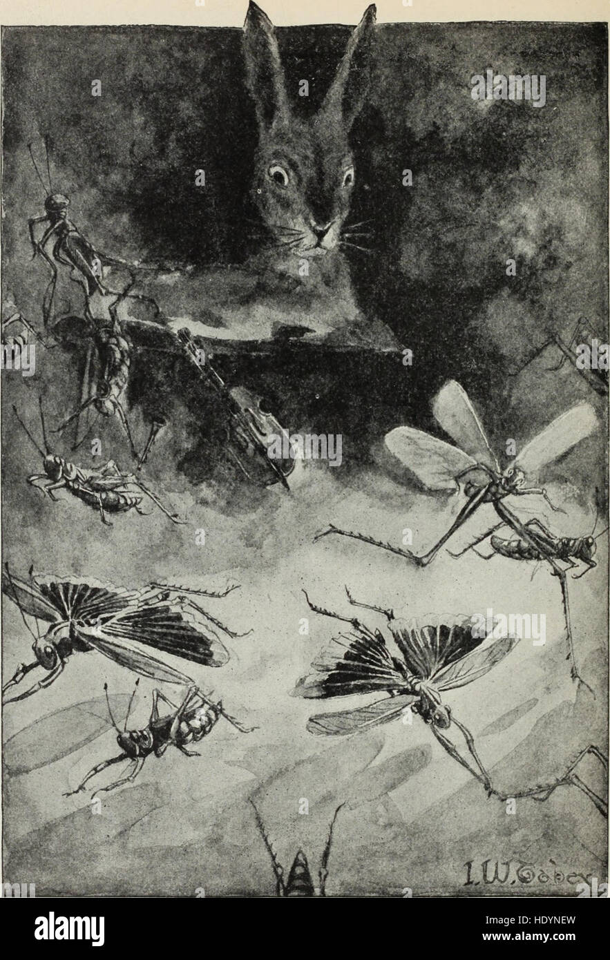A 1912 children's book offering a blend of factual knowledge and ...