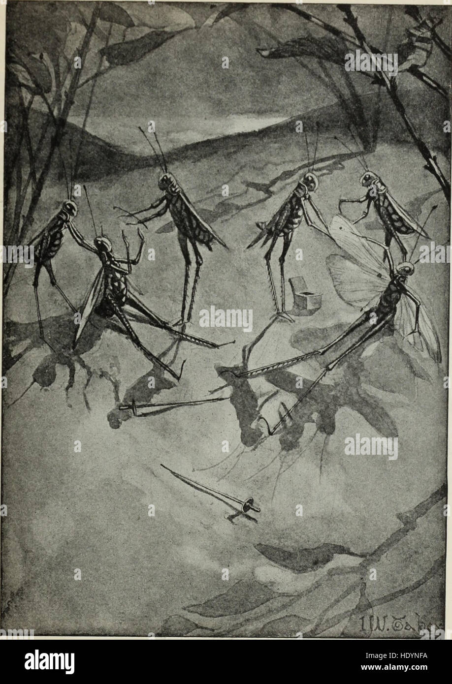 This 1912 children's book combines factual information with imaginative ...