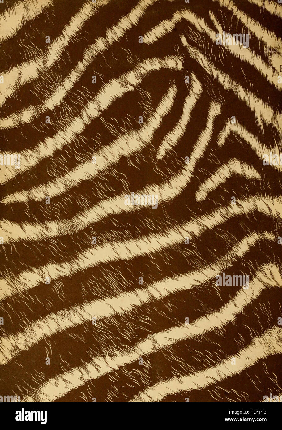 *Records of Big Game* (1910) catalogs the distribution, physical ...