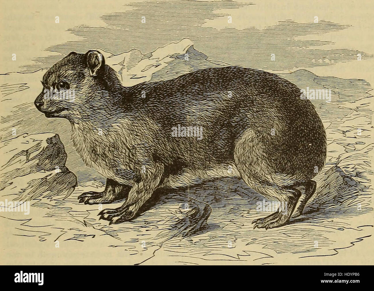 This dictionary provides a comprehensive reference for biblical terms ...