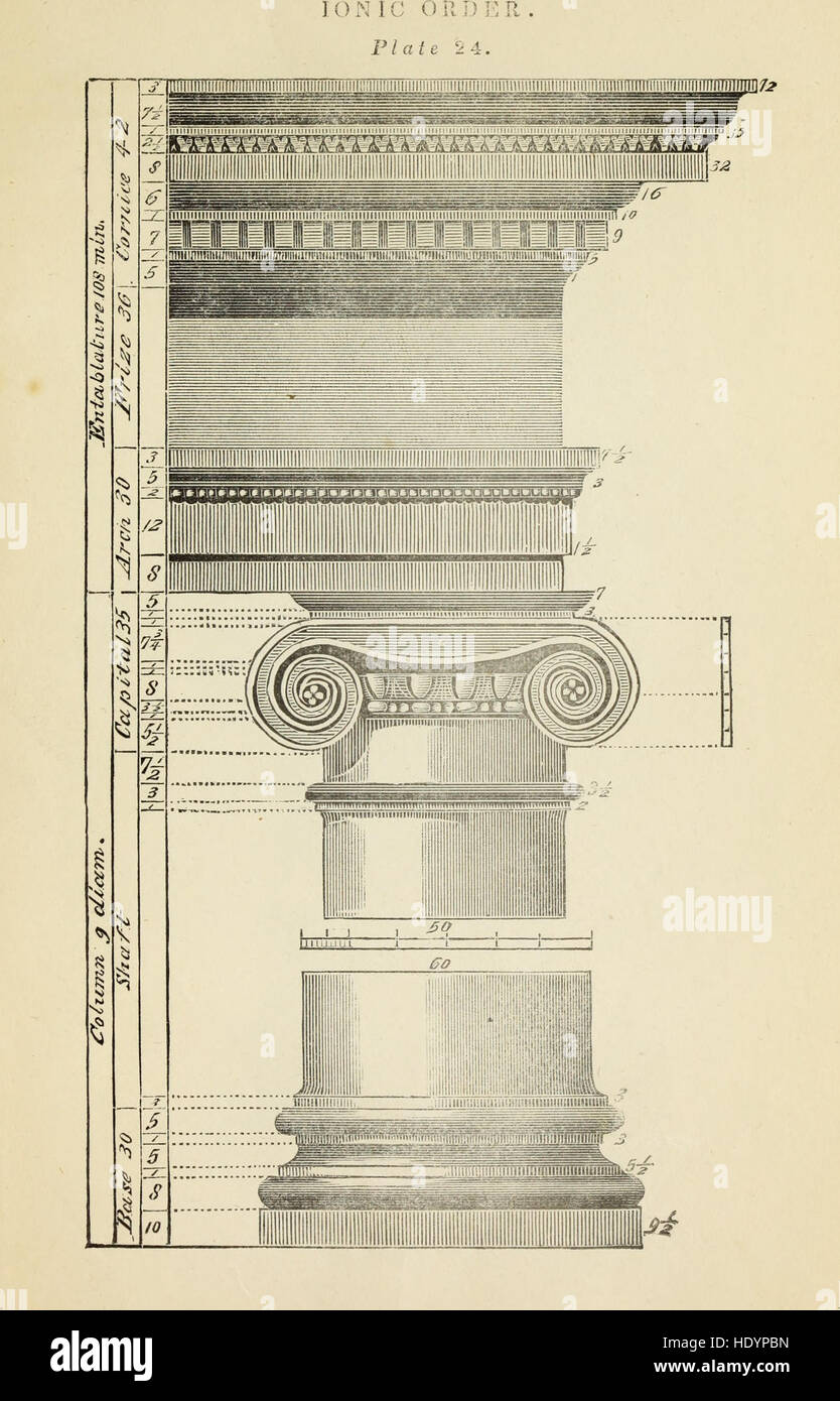Classical orders drawing hi-res stock photography and images - Alamy