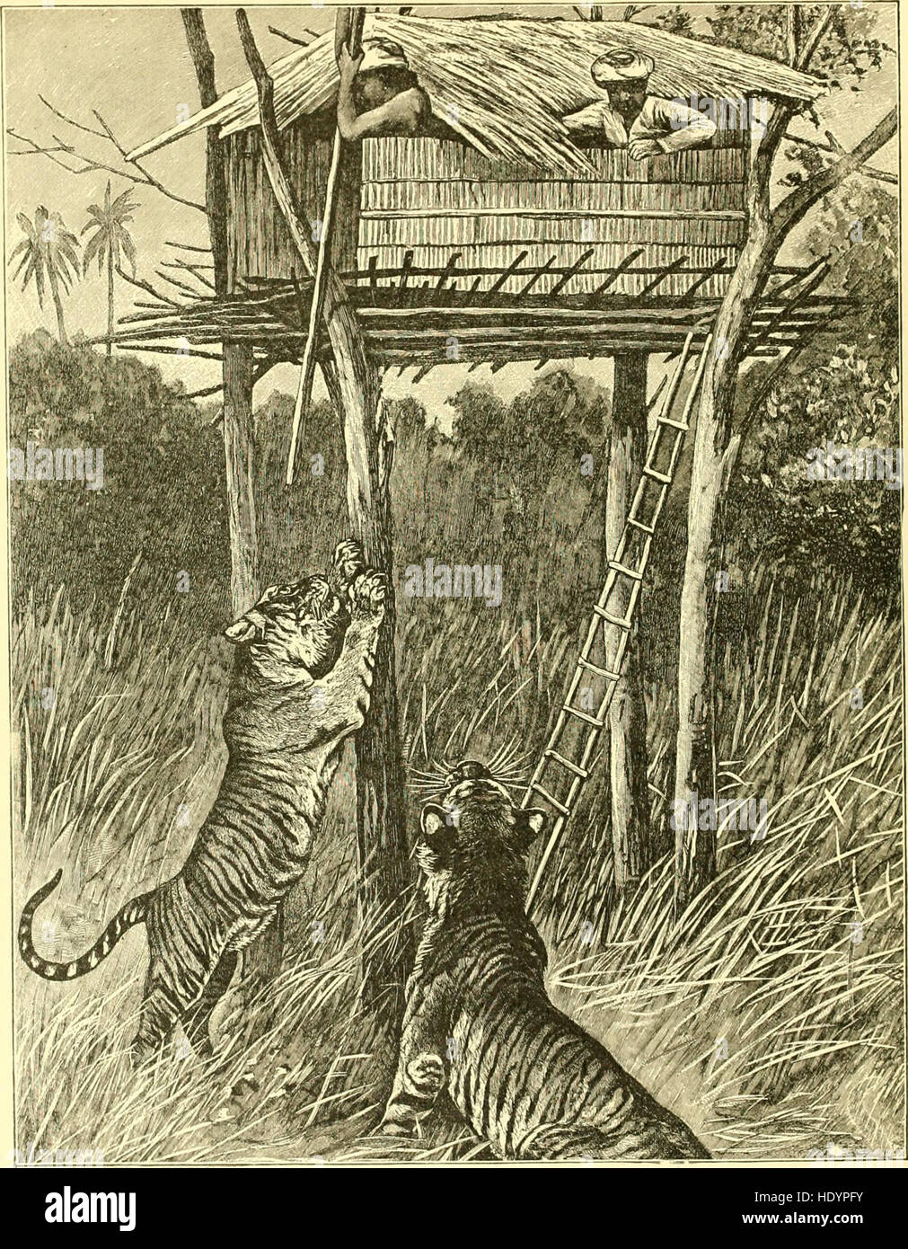 This 1903 book compiles a collection of hunting and trapping stories ...