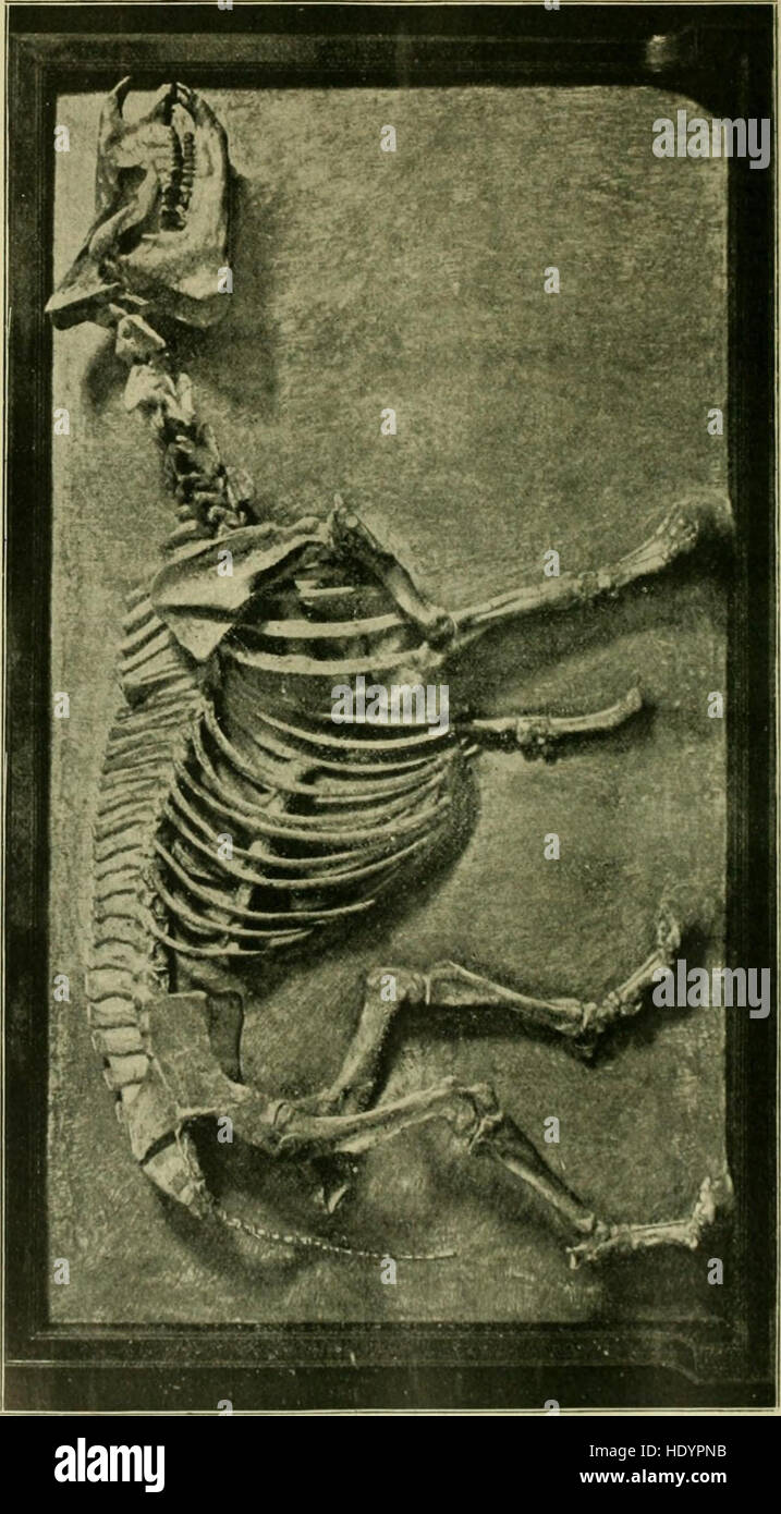 Covers a wide range of topics hi-res stock photography and images - Alamy