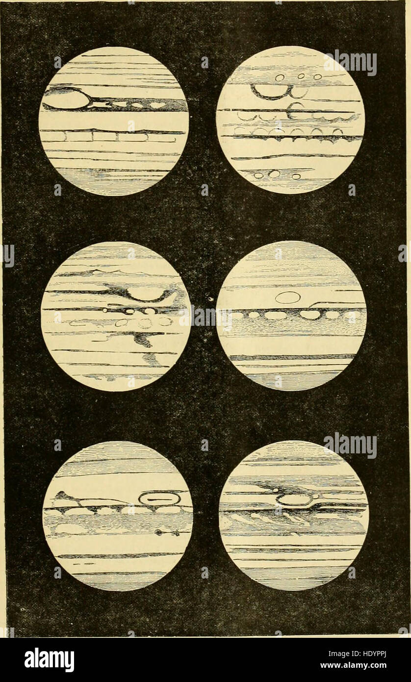 A scientific journal from 1885, covering various fields of natural ...