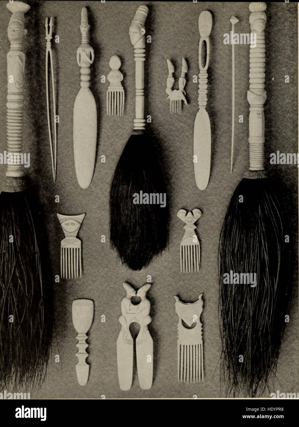 Comprehensive guide on natural hi-res stock photography and images - Alamy