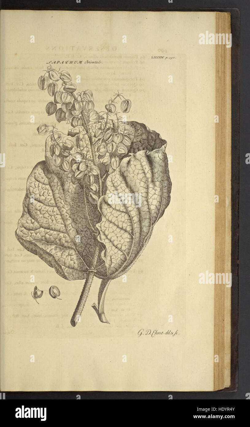 *A Description of the East* (1743) offers insights into the cultures ...