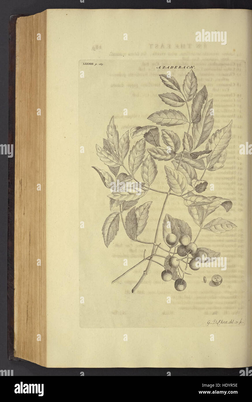 This 1743 work offers a detailed description of Eastern countries and ...