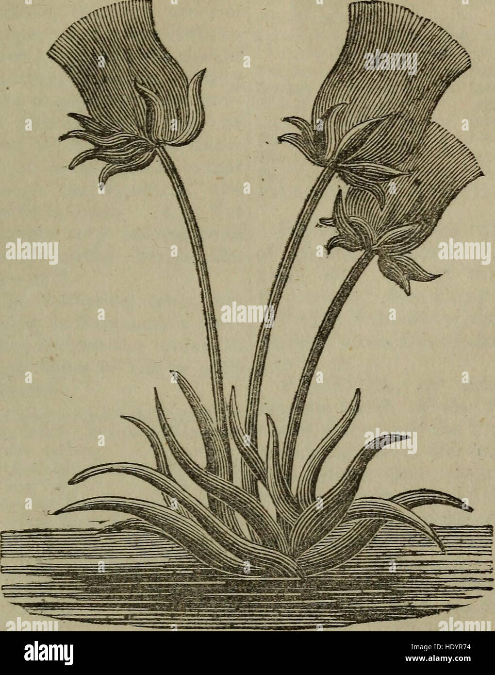 Key definitions hi-res stock photography and images - Alamy