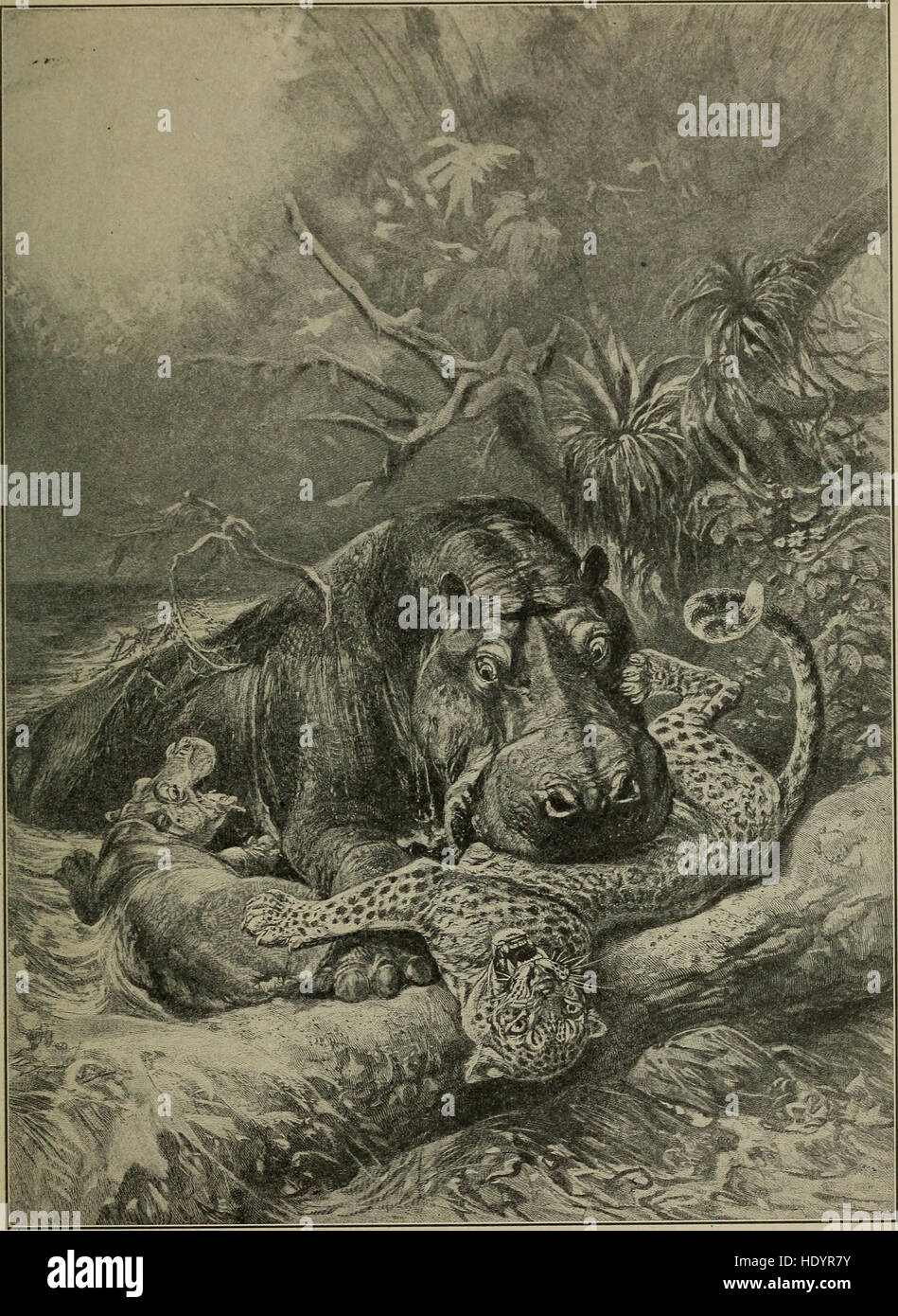 This 1901 book provides an in-depth look at the behavior, habitats, and ...