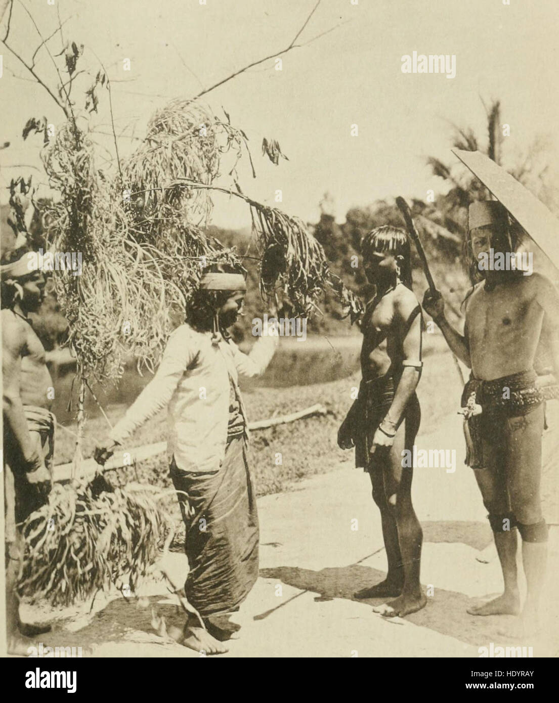 This work offers a detailed description of the pagan tribes of Borneo ...