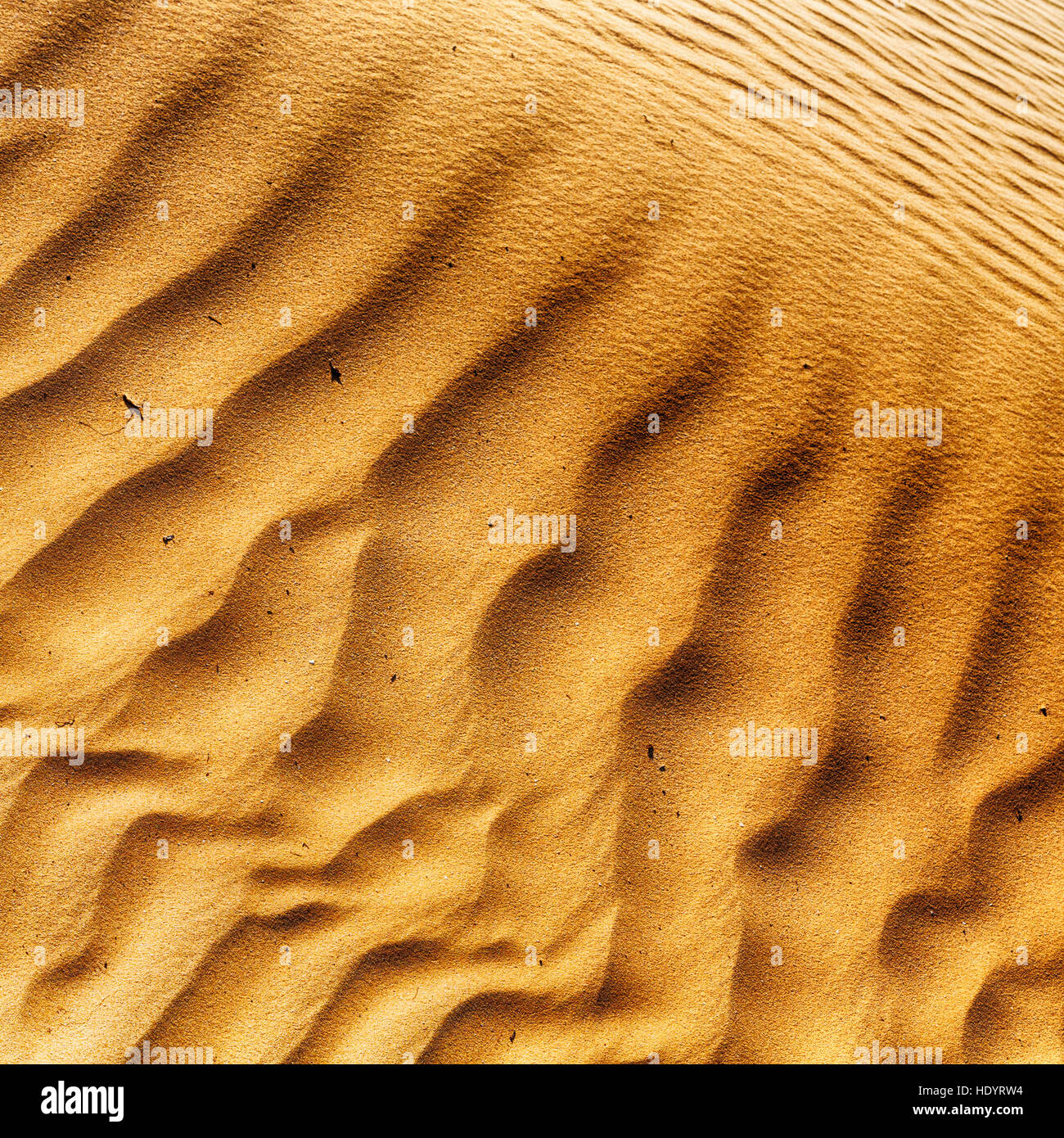abstract texture line wave in oman the old desert and the empty quarter ...