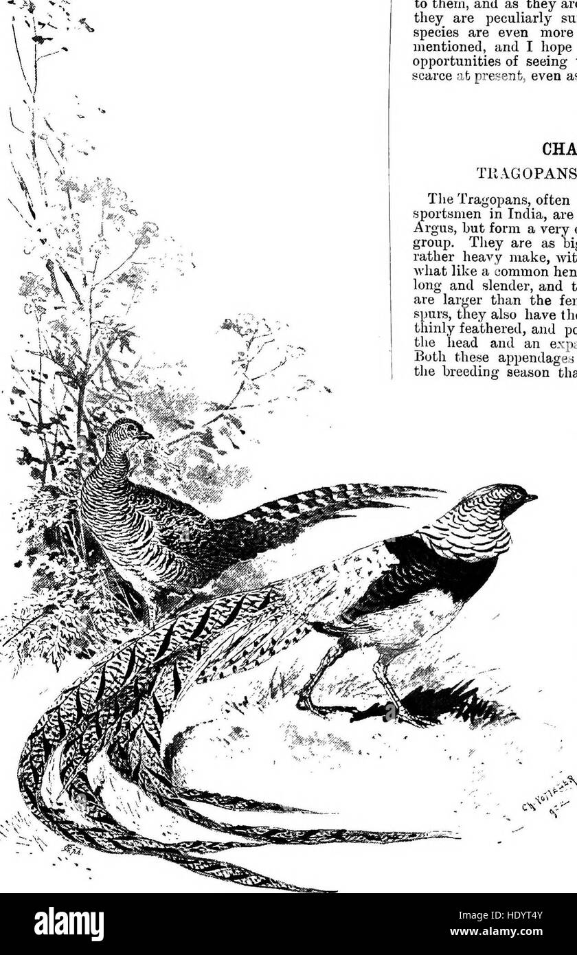 Exotic publication Black and White Stock Photos & Images - Alamy