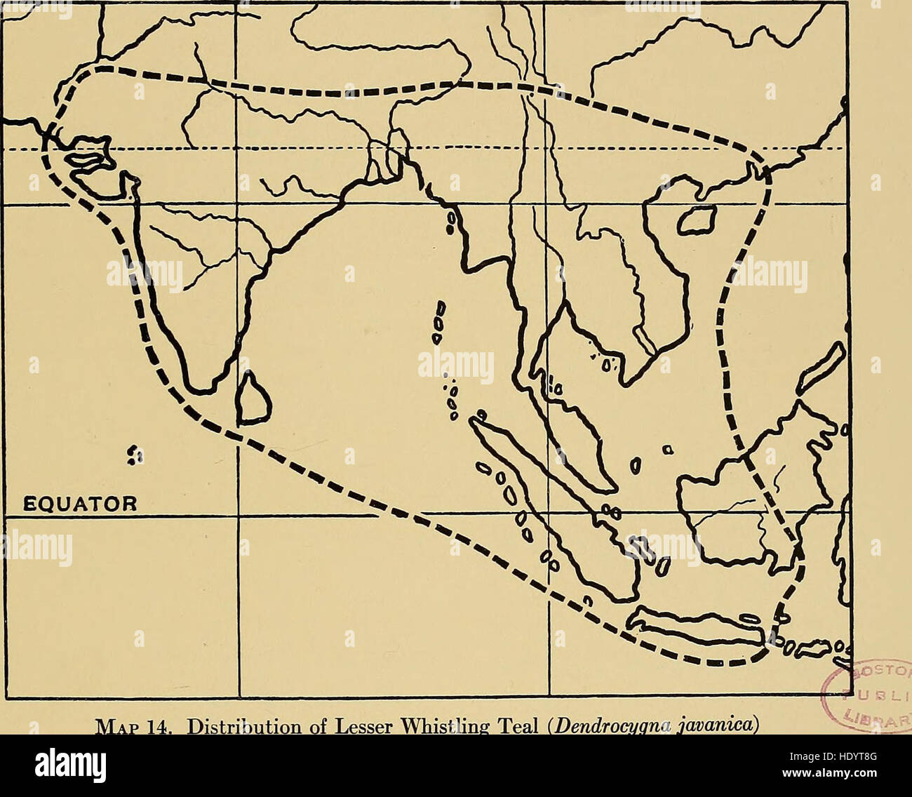 *A Natural History of the Ducks* (1922) provides an in-depth study of ...