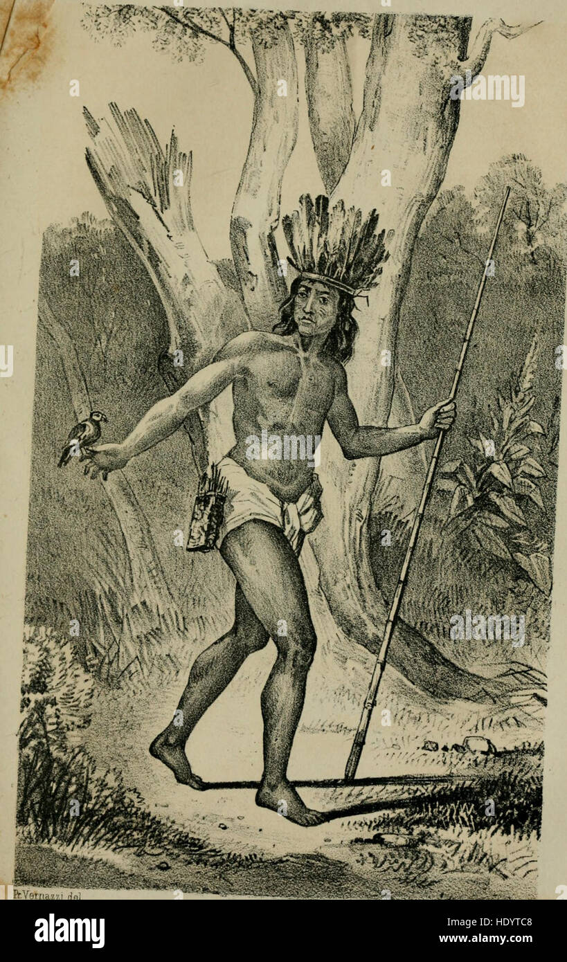 *Exploration of the Valley of the Amazon* (1854) details the ...