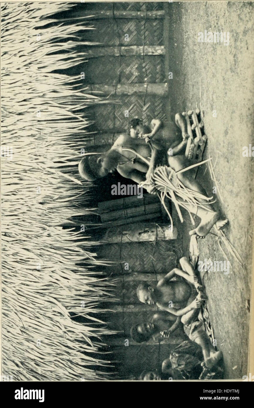 *From the Congo to the Niger and the Nile* (1913) chronicles the German ...