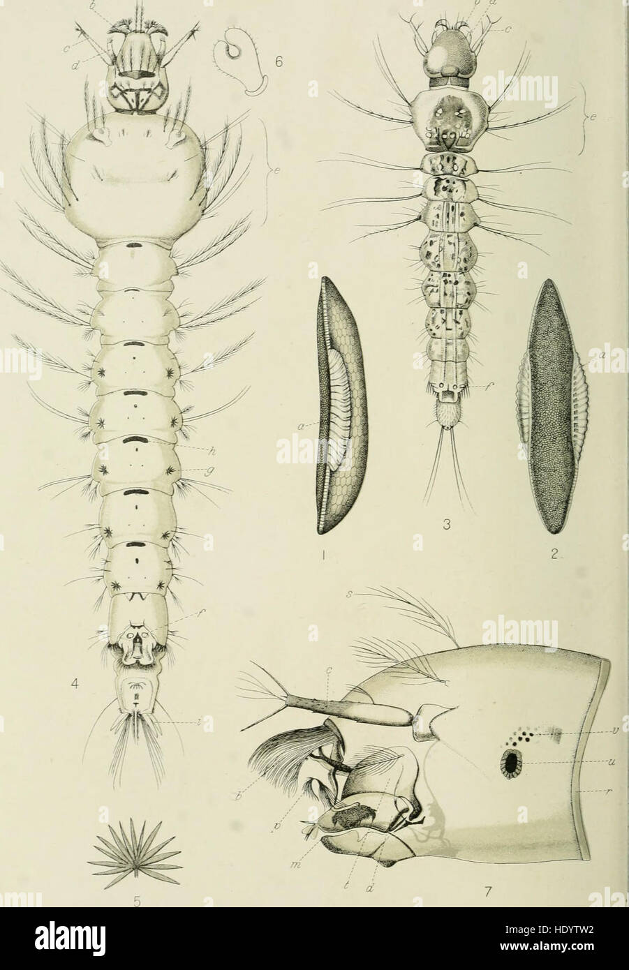 *The Journal of Hygiene* (1901) focuses on health practices, sanitation ...