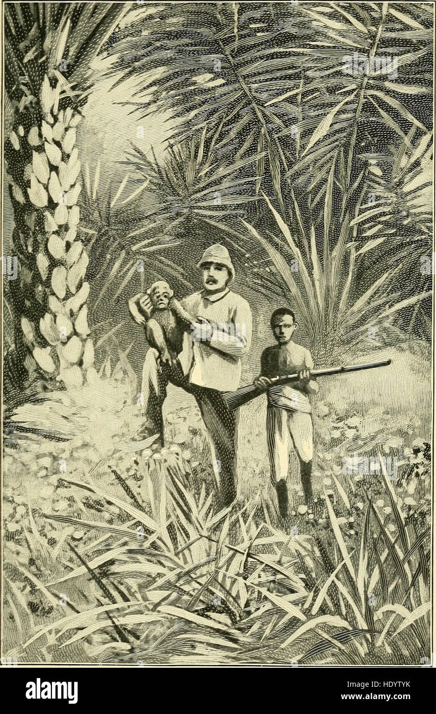 This 1900 work explores the behavior, social structure, and ...