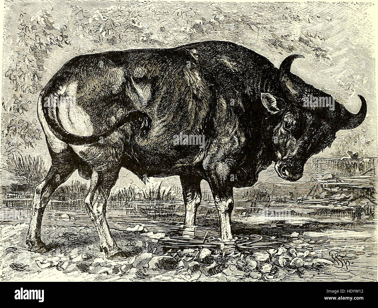 This book provides factual information about a wide variety of animals ...