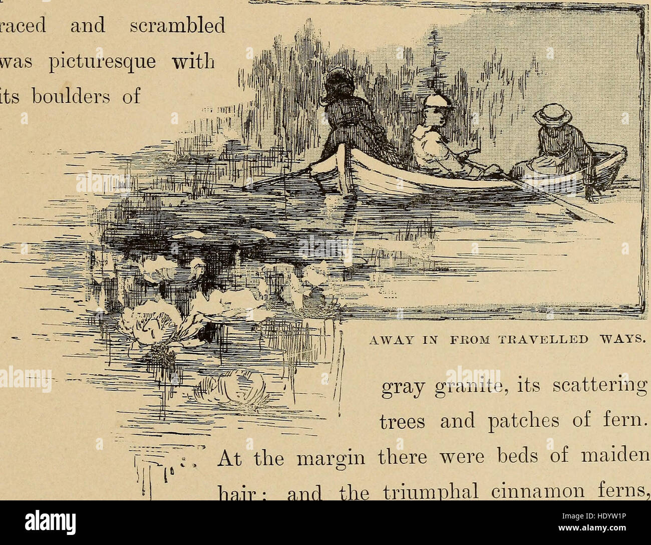 This 1882 publication provides a guide to identifying wild flowers ...