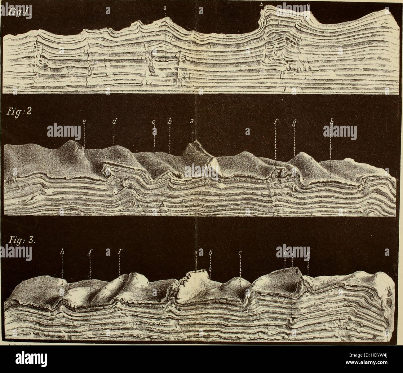 This French scientific journal, published from 1846 to 1947, covers a ...