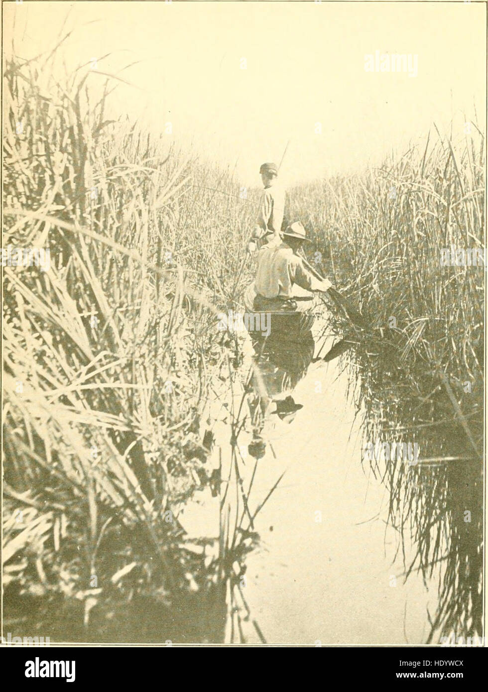 'The Fountain of Youth' (1914) explores the legend of the mythical ...