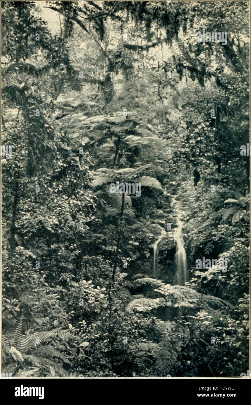 This 1913 account details the German Central African expedition of 1910 ...