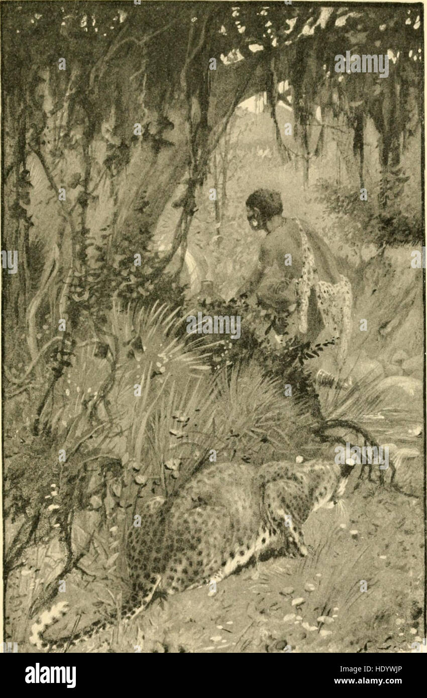 This 1900 work explores the behaviors, communication, and ecological ...