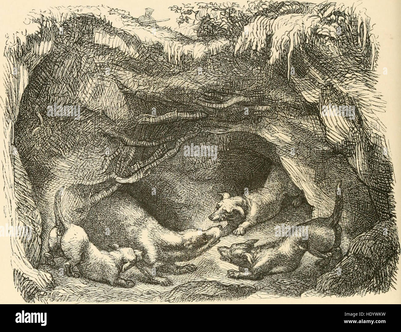 'Picture Fables' (1858) is a collection of illustrated moral stories ...